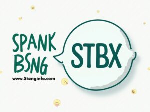 STBX Meaning: What It Is and How to Use It